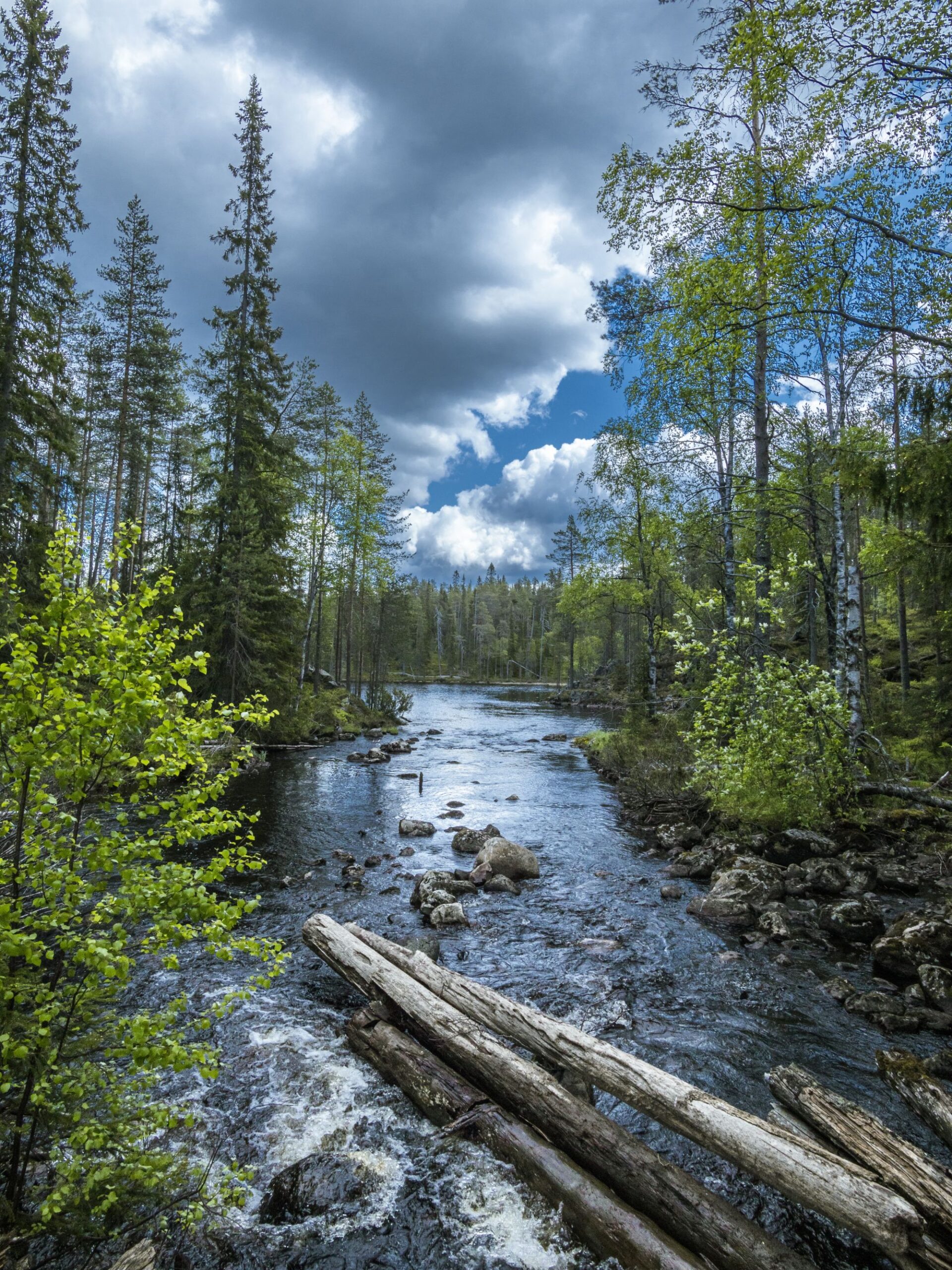 xxx High alkaline water - Wild Things Finland